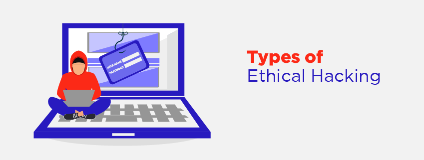 Types Of Hacking - Pakistan Cyber Hunters