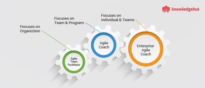 A Leader’s Journey: The Path from a Scrum Master to Agile Coach
