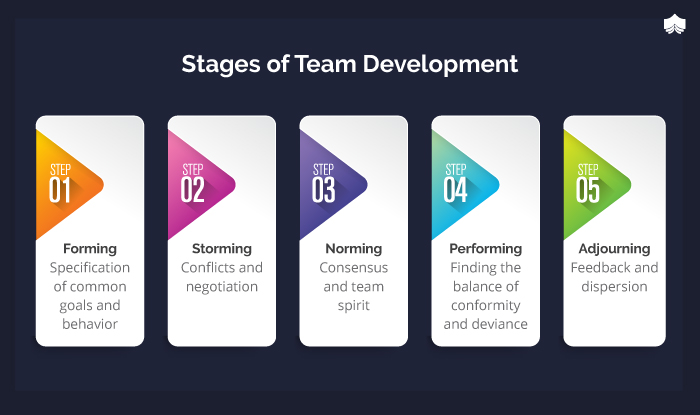What Are The Different Stages Of Team Productivity?