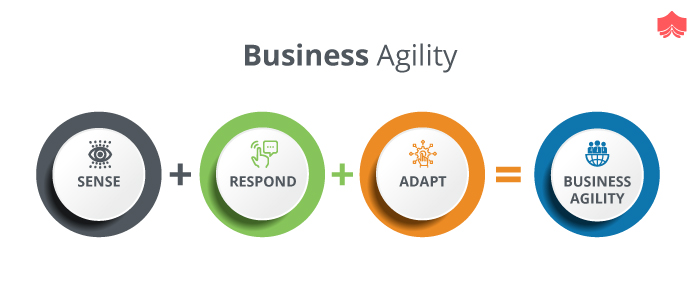 Learn How to Increase Team Effectiveness with Business Agility
