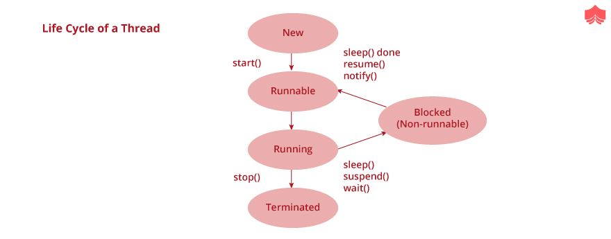 Top 200+ Java Interview Questions and Answers for 2024