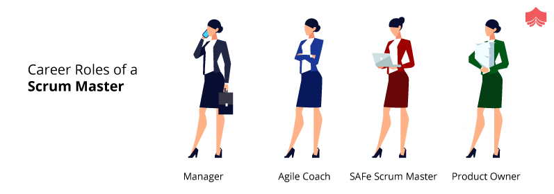 How Does The Career Path Of A CSM Certified Look Like?