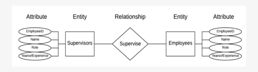Top 50 DBMS Interview Questions and Answers for 2024