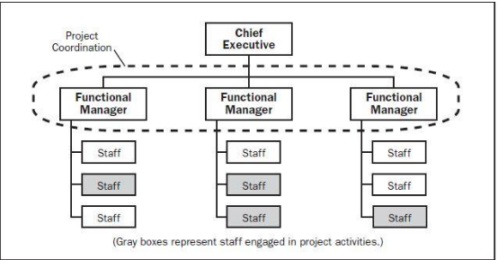 A critical analysis of ‘Functional’ Project Management Organizations