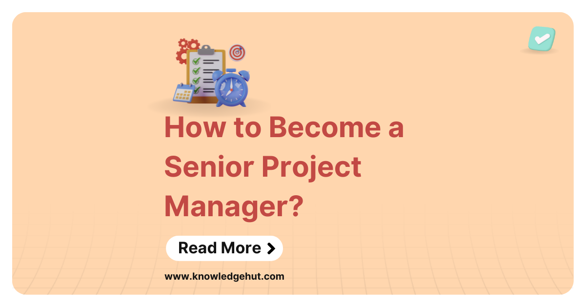 How to Become a Senior Project Manager in 2024?