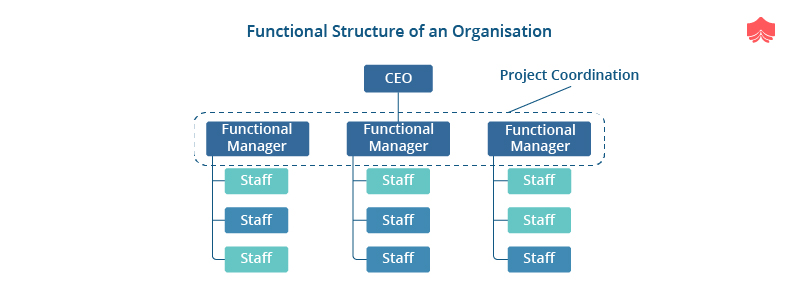 Ultimate Guide to Organization Structures, Types & Functions