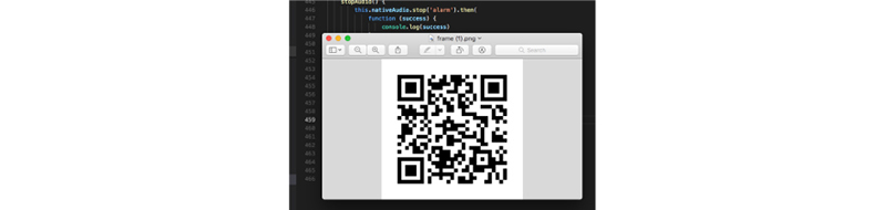 Ionic Native Components | Ionic Tutorial